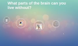 What parts of the brain can you live without? by on Prezi