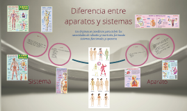 Diferencia entre aparatos y sistemas by Gisela Gomez Cruz on Prezi