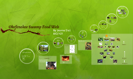 Okefenokee Swamp Food Web by Jeanna Diaz on Prezi
