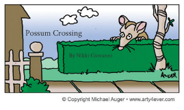 Possum Crossing by Vinny Greco on Prezi
