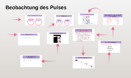 Beobachtung des Pulses by Donald Duck on Prezi