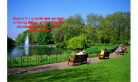 How is the growth and survival of living things affected by the ...