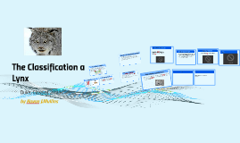 The Classification a Lynx by kavon mullins on Prezi