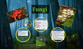 Biome Project/Travel Brochure by Laynee Gander on Prezi