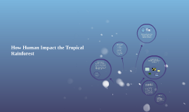 How Human Impact the Tropical Rainforest by Yash Agarwal on Prezi