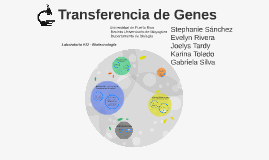 Transferencia de Genes by Gabriela Silva on Prezi