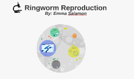 Ringworm Reproduction by Emma Salamon on Prezi