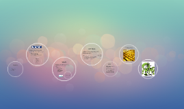 Dementie bij mensen met een verstandelijke beperking? by Michele Barendsen on Prezi