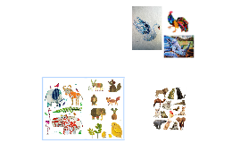 Traditional vs. Non Traditional Portraits by Michelle Land on Prezi