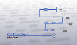PCR Flow Chart by Kalsie Davis on Prezi