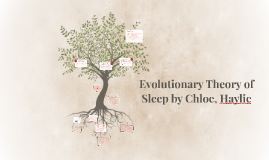 Evolutionary Theory of Sleep by Chloe Nicholls on Prezi
