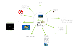 the green sea turtle (adaptations) by Poppi Gregory on Prezi