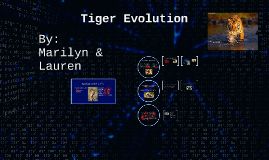 Tiger Evolution by Marilyn Beltran on Prezi