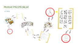 Prueba Naipes by Caro na on Prezi