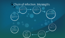 Chain of infection: Meningitis by becca demello on Prezi