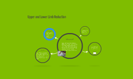 Upper and lower limb reduction defects occur when a part of by Kristin ...
