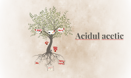 Acidul acetic by on Prezi