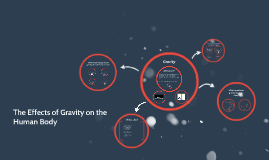 The Effects of Gravity on the Human Body by Kyle McC on Prezi
