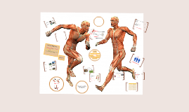 AQA GCSE PE Muscular System by PE MrHepworth on Prezi