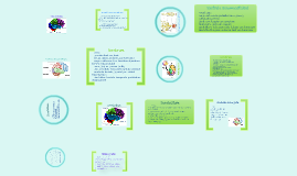 Die Brein by Chere Mostert on Prezi