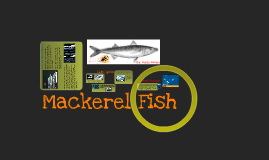 Mackerel Fish-Anatomy by Heidy Rivera on Prezi