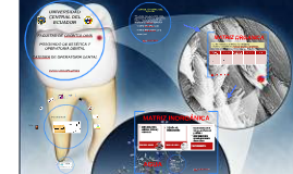 COMPOSICIÓN QUIMICA DEL ESMALTE by Marcela Quisiguiña on Prezi