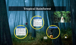 Biome Project/Travel Brochure by Laynee Gander on Prezi