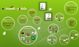 GRADJA BILJAKA by Slađana Petrović on Prezi