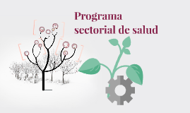 Programa sectorial de salud by Cristian Morquecho on Prezi