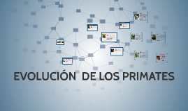 Prosimios modernos by Constanza Salgado Orellana on Prezi