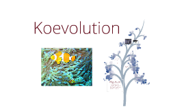 Koevolution by isabell hendricks on Prezi
