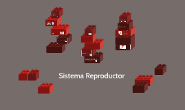 Reproducción selectiva de plantas y animales by Rosa Arias on Prezi