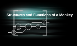 Structures and Functions of a Monkey by Dustin Johnson on Prezi