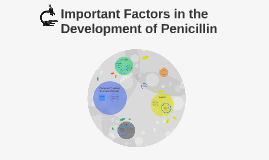 Important Factors in the Development of Penicillin by alex williams on ...