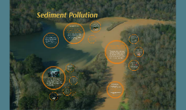 Sediment Pollution by Jamie Fox on Prezi