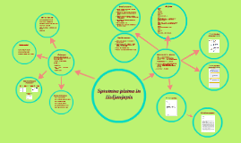 CV VIZITKA by Mojca Kušnjerek on Prezi