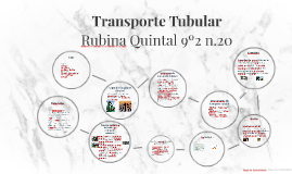 Transporte Tubular by Alexandra Quintal on Prezi