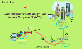 How an environmental change can impact an ecosystem stability by Gavin ...