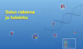 Solun rakenne ja toiminta by Rasmus Kois. on Prezi