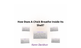 How Does A Chick Breathe Inside Its Shell? by Karen Davidson on Prezi