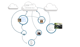 Red Kangaroo Food Web by Brianna Besaw on Prezi