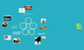 Love,Stargirl Plot map by ashley w on Prezi