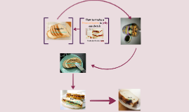 Emperor Tamarin Life Cycle Diagram by Lauren Paik on Prezi