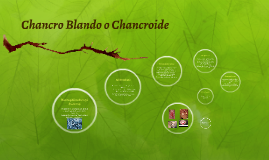 Chancro Blando o Chancroide by Raul Nava on Prezi