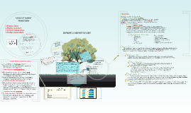 DEFINING A COMPETITIVE SET by Eiiyiea Raa on Prezi