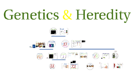 Genetics & Heredity by Jennifer Sweet on Prezi