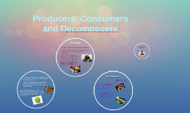 Producers, Consumers and Decomposers by Savanna Chanminaraj on Prezi