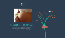 HISTORIA CLINICA PERINATAL BASE CLAP by fabiola lafuente zapata on Prezi