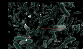 Barophiles by Rudy Fisch on Prezi