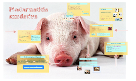 Sinonimias by on Prezi